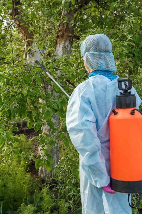 Bed Bug Exterminators Queens | 929-298-3747